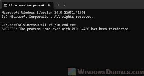 Application Error Won T Go Away On Windows 11