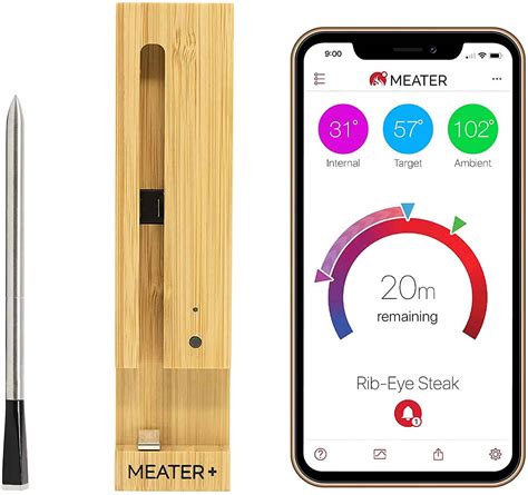 Best Bluetooth Bbq Thermometer Control The Temperature Of Your Meat