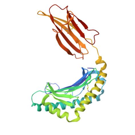 Rcsb Pdb 6lhh Crystal Structure Of Chicken 8mer Bf2 1501