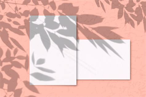 2 분홍색 배경에 흰색 텍스처 용지 2 장 식물 그림자의 오버레이와 모형 자연광이 들판 식물과 꽃의 그림자를 위에서 투사합니다 0명에 대한 스톡 벡터 아트 및 기타 이미지