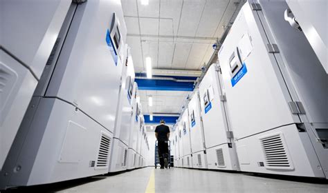 Everything You Need To Protect Your Lab Samples