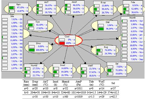 Naive Bayes Classifier Plot Depicting The Relationship Between The