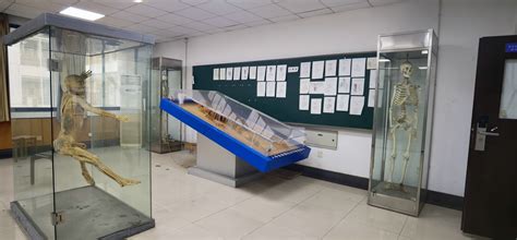 基础医学实验室