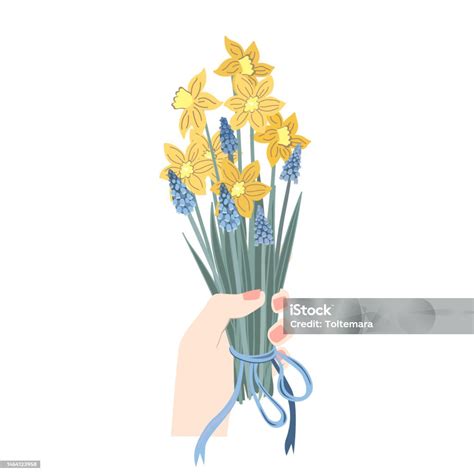 봄 꽃다발을 들고 있는 여성 손 노란 수선화와 푸른 히아신스 봄에 피는 무스카리와 수선화 또는 종퀼 꽃 벡터 고립 된 그림 꽃 식물에 대한 스톡 벡터 아트 및 기타 이미지