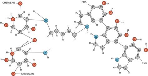 Tremendous Advancements In Interfacial Polymer Coating Adhesion Dreng Deniz Eren Erişen