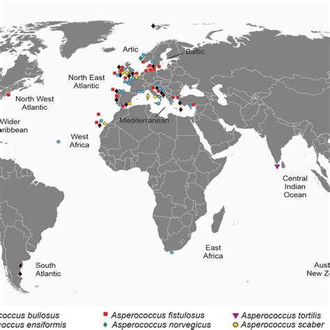 World Distribution Of Species Of Asperococcus Colored Symbols Download Scientific Diagram