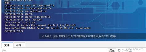 在线部署ubuntu2004服务器，安装jdk、mysql、redis、nginx、minio、开机自启微服务jar包ubuntu20