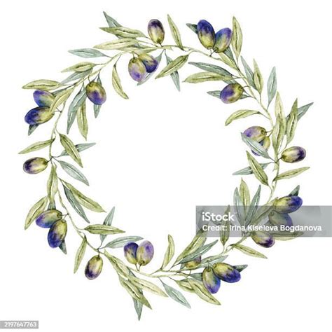 보라색 올리브가 있는 녹색 올리브 가지로 만든 화환 수채화 그림입니다 손으로 그렸습니다 흰색 배경에 고립되어 있습니다 초대장 라벨 카드용 결혼식 디자인 첫 영성체 생일 0