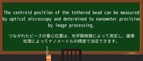 【英単語】optical Microscopyを徹底解説！意味、使い方、例文、読み方 おもしろい英文法