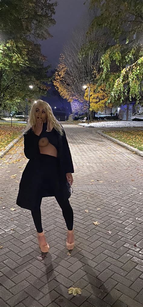 A Wild Appeared Scrolller A Wild Appeared Scrolller