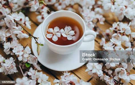 나무 배경에 향기로운 꽃홍차와 흰색 둥근 컵 살구 나뭇 가지와 꽃잎으로 장식 아침 식사 건강 한방 치료 건강한 음식 개념 및 구성 0명에 대한 스톡 사진 및 기타 이미지