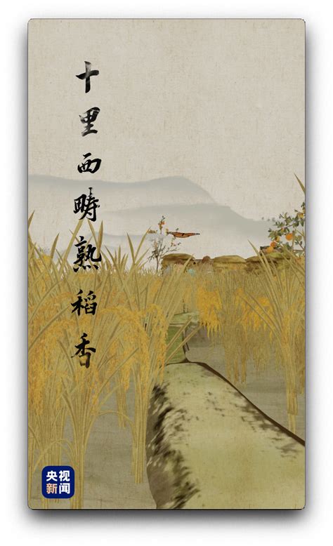 人间好时节丨秋分 时政 文汇网