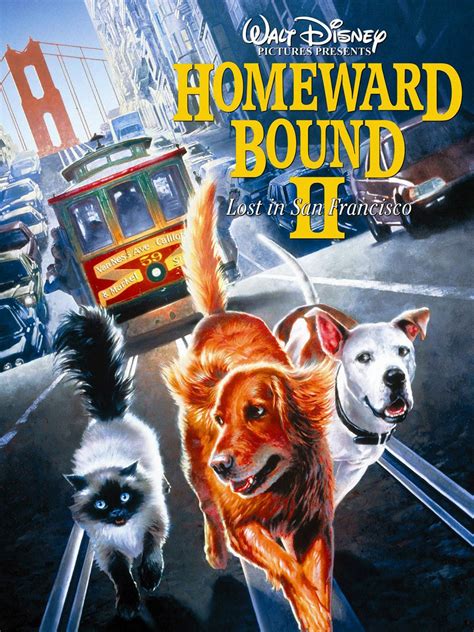 Homeward Bound Voices