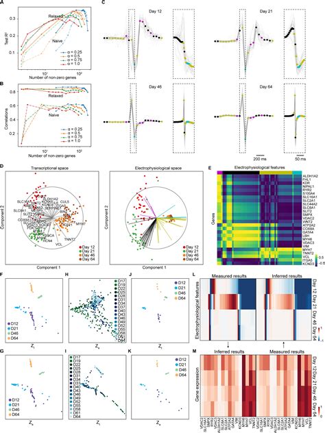 Multimodal Charting Of Molecular And Functional Cell States Via In Situ Electro Sequencing Cell
