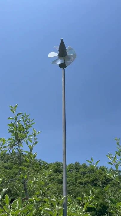 두더지 퇴치법 Youtube