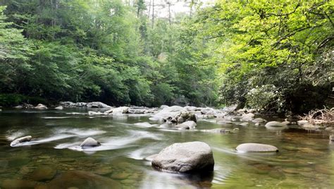 From Words To Vectors Inside The Llm Transformer Architecture By Harika Panuganty Medium