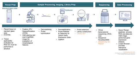 10x Genomics Visium Technology Crown Bioscience