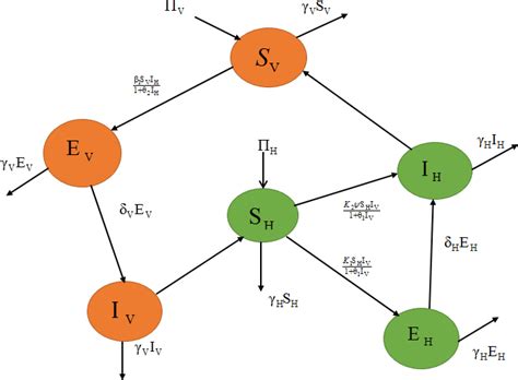 Color Online Schematic Diagram For The Pine Wilt Disease Pwd Download Scientific Diagram