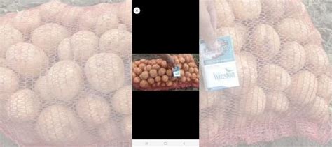 Картофель купить в Новосибирске Товары для дома и дачи Авито