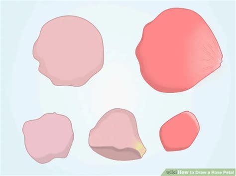 50 Easy Ways To Draw A Rose Learn How To Draw A Rose