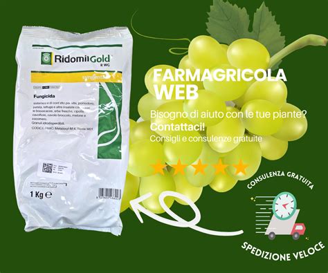 Ridomil Gold Il Miglior Fungicida Per La Peronospora Vite