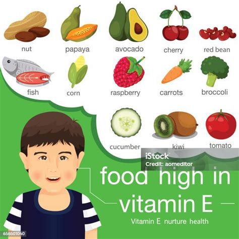 높은 비타민 E에서 식품의 일러스트 레이 터 0명에 대한 스톡 벡터 아트 및 기타 이미지 0명 건강한 식생활 광물질 Istock