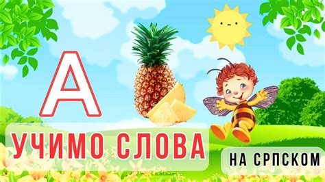 📚 UČimo Slova Na Srpskom Azbuka 📚👨‍🎓👩‍🎓 СЛОВА за ДЕЦУ Youtube