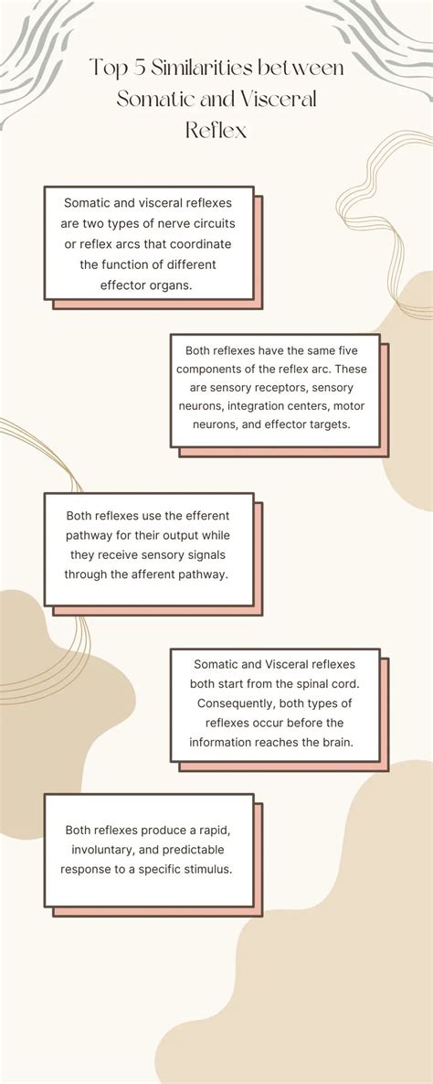 Differences And Similarities Between Somatic And Visceral Reflex