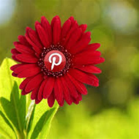 What Is The Best Substrate Or Carbon Source For The Production Of