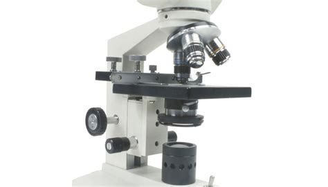 How To Increase Resolution On Microscope Sciencing