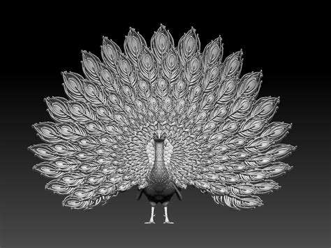 Stl File Peacock・template To Download And 3d Print・cults