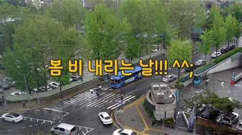 봄 비내리는 날 주말 아침 영상입니다 영상 보시며 힐링하세요 Youtube