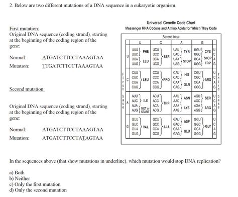 Dna Code Chart