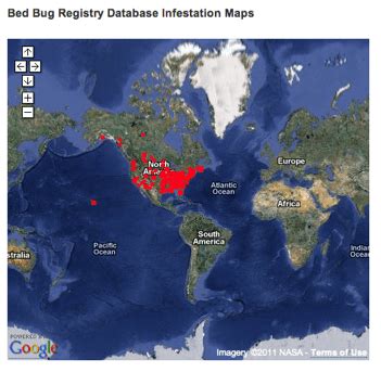 Are Bed Bugs A Wake Up Call For A Nation Spiritually Asleep Home