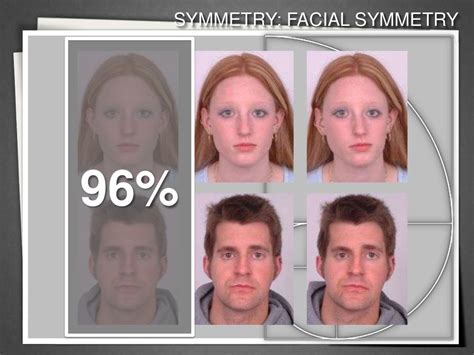 Symmetry Facial Symmetry 96