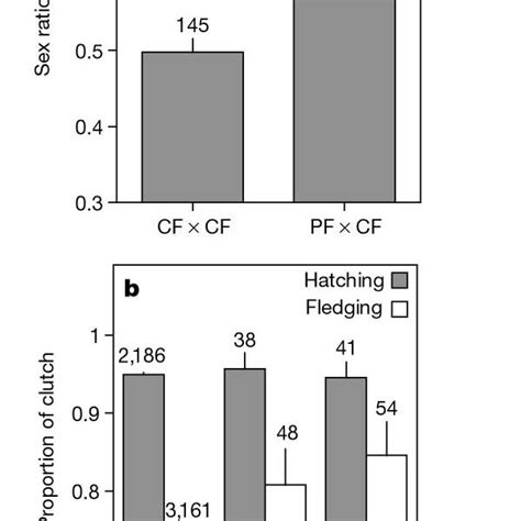 Effect Of Pairing Type On Sex Ratio And Viability Of Brood A Sex Ratio