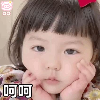 萌娃丸子妹表情包动图 可爱的表情包 高清图片堆糖美图壁纸兴趣社区