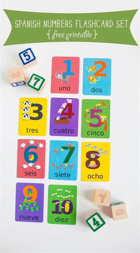 Number Flashcards In Spanish At Marvin Bruner Blog