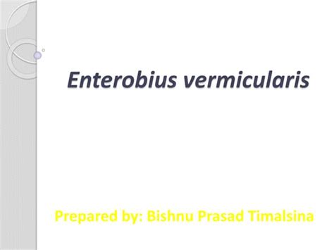 Enterobius Vermicularispinworm Pptx