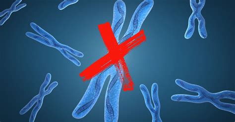 Crispr Gene Editing Causes Whole Chromosome Loss Rgeneediting