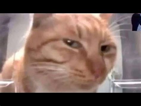 Bsd React To Atsushi S Brother As Gojo WIP YouTube