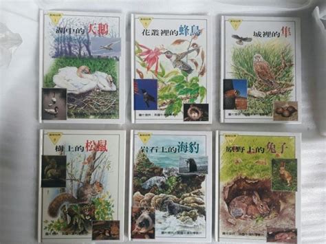 紫庭雜貨鹿橋故事書童書繪本動物世界雙語中英文注音版 天鵝 海豹 隼 蜻蜓 蜂鳥 蜥蜴 可以分售每本120元 蠻新 Yahoo奇摩拍賣