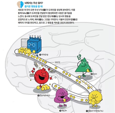 뇌는 왜 작심삼일에 더 익숙할까 동아사이언스