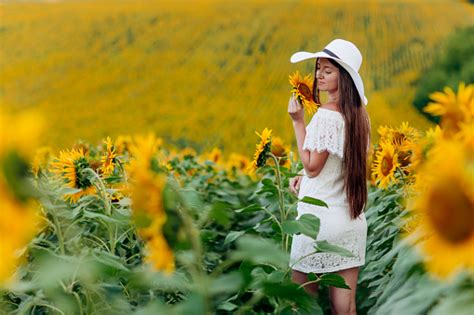 해바라기의 분야에서 흰색 드레스와 모자에 행복 한 아름 다운 젊은 여자는 햇빛을 즐긴다 어린 소녀의 해바라기 밭에서 여름 산책 선택적 초점 감정에 대한 스톡 사진 및 기타