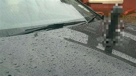 Pictured Pranksters Stick Sex Toys To Cars Overnight Leaving Residents With A Rude Awakening