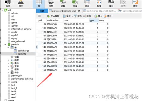 基于opencv车牌识别 Mysql存储数据 Pygame存储数据的智能停车场车牌识别计费系统opencv链接mysql数据库 Csdn博客
