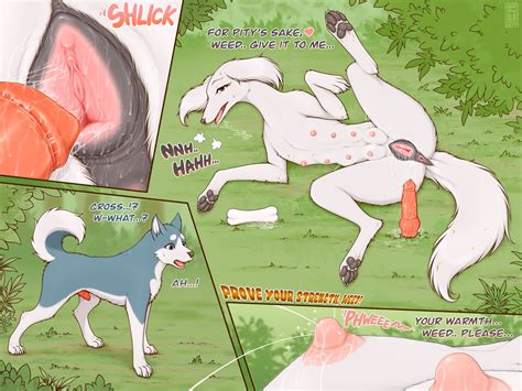 Rule 34 Akita Animal Dildo Animal Genitalia Animal Penis Animal Sex