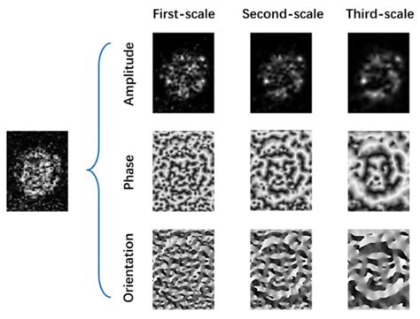 Remote Sensing Special Issue Pattern Recognition In Remote Sensing