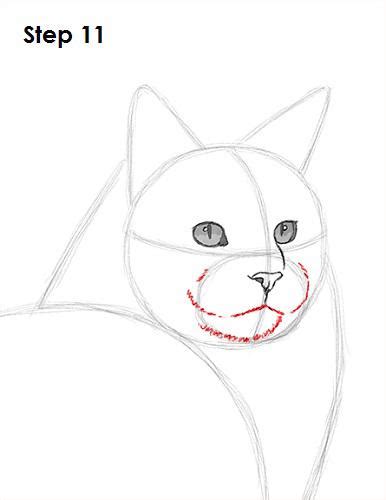 How To Draw Cat Muzzles