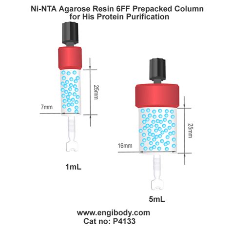 Ni Nta Agarose Resin 6ff Prepacked Column For His Protein Purification